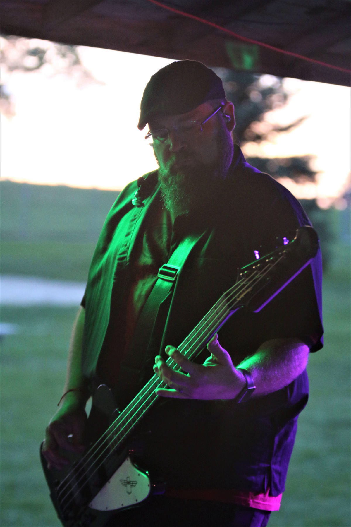 Gallery – Curious Crow