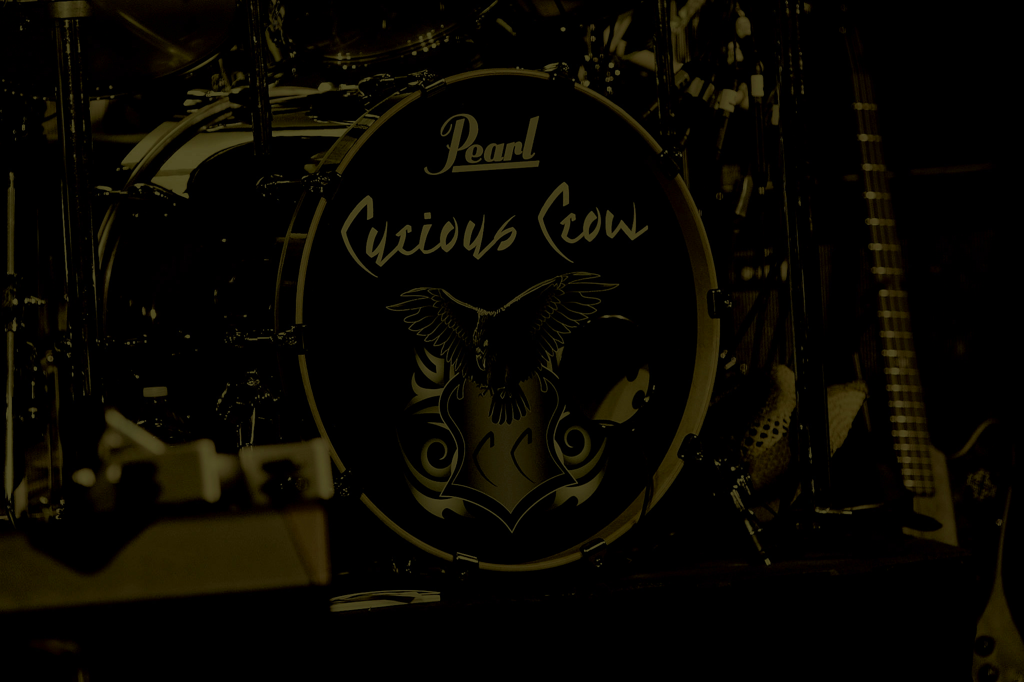 Book a Show – Curious Crow